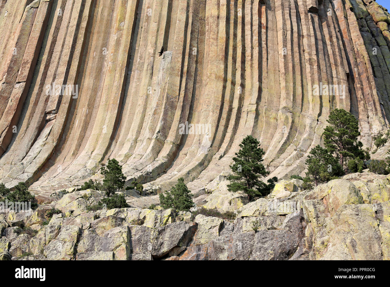 geological wonder of igneous columnar rock at Devils Tower Stock Photo ...