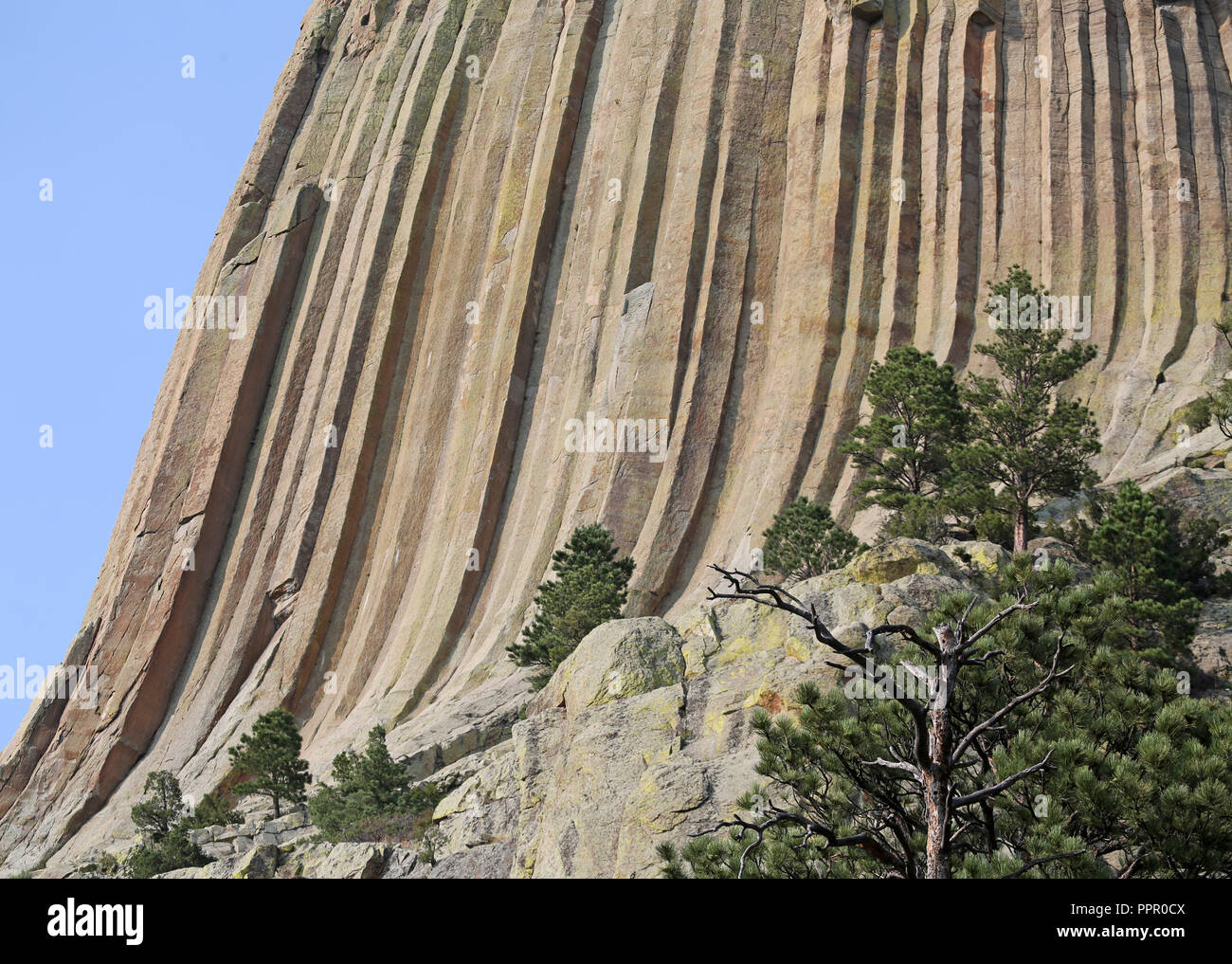 geological wonder of igneous columnar rock at Devils Tower Stock Photo ...