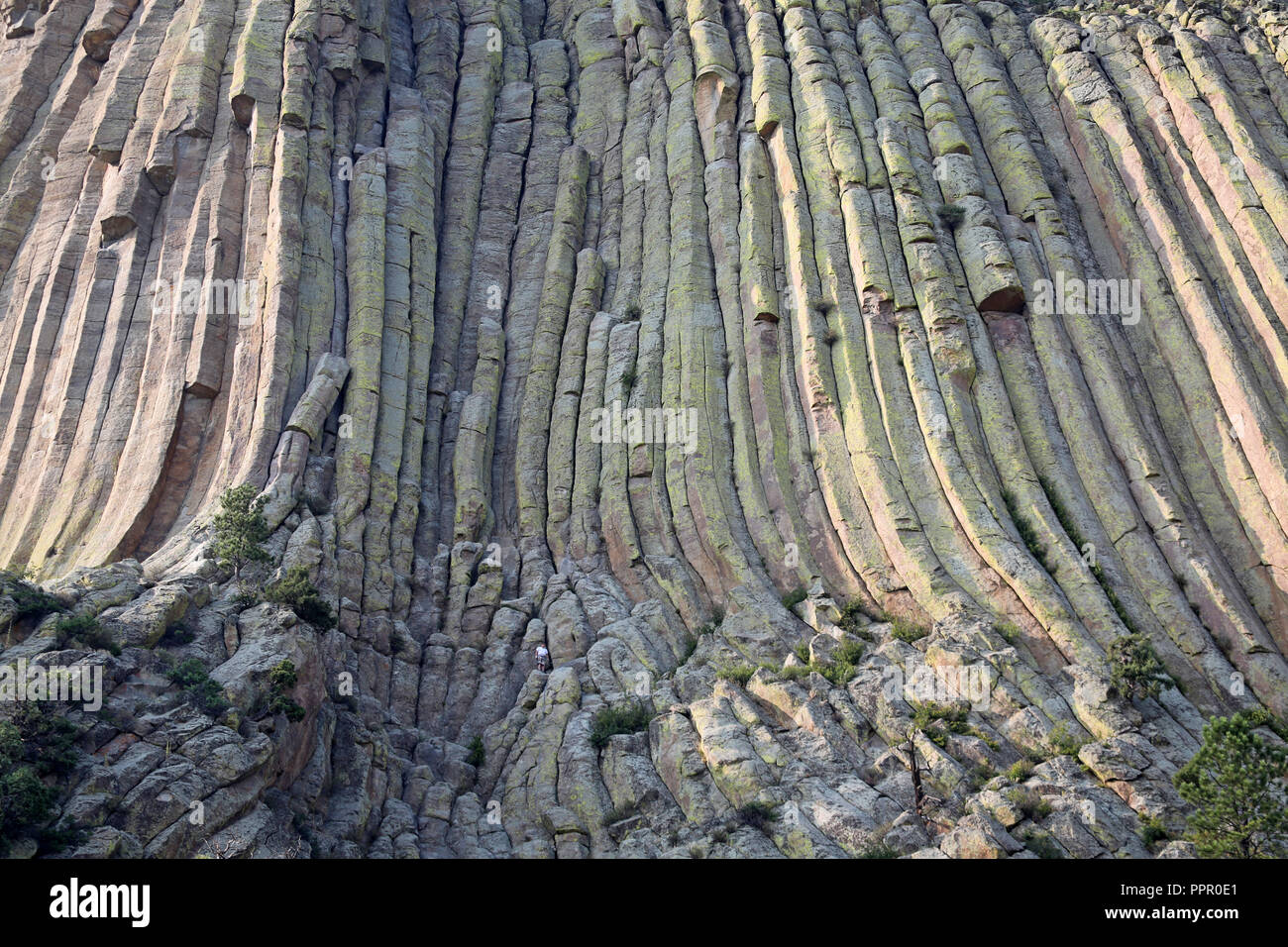 man in bottom center for scale at geological wonder of igneous columnar ...