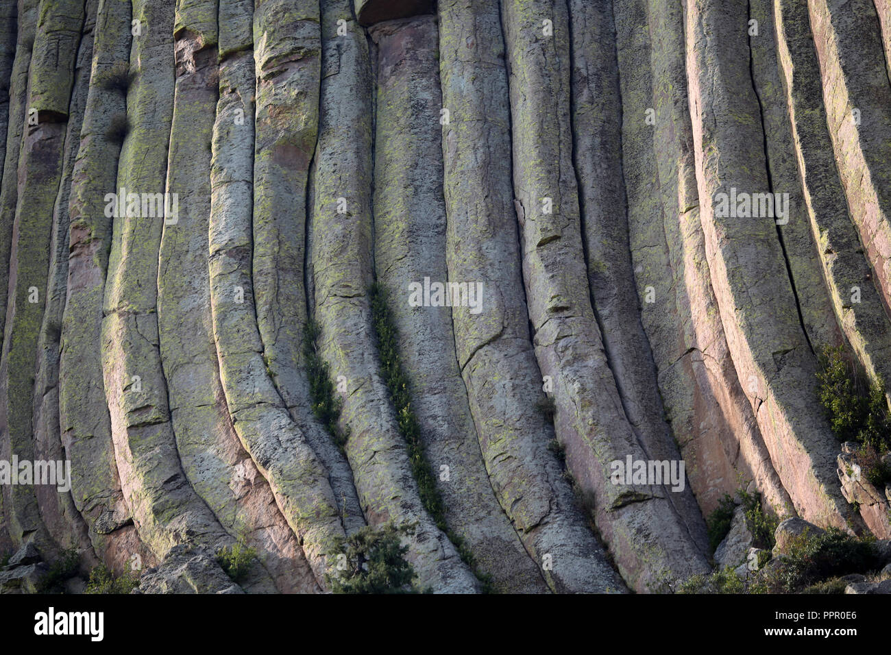 geological wonder of igneous columnar rock at Devils Tower Stock Photo ...
