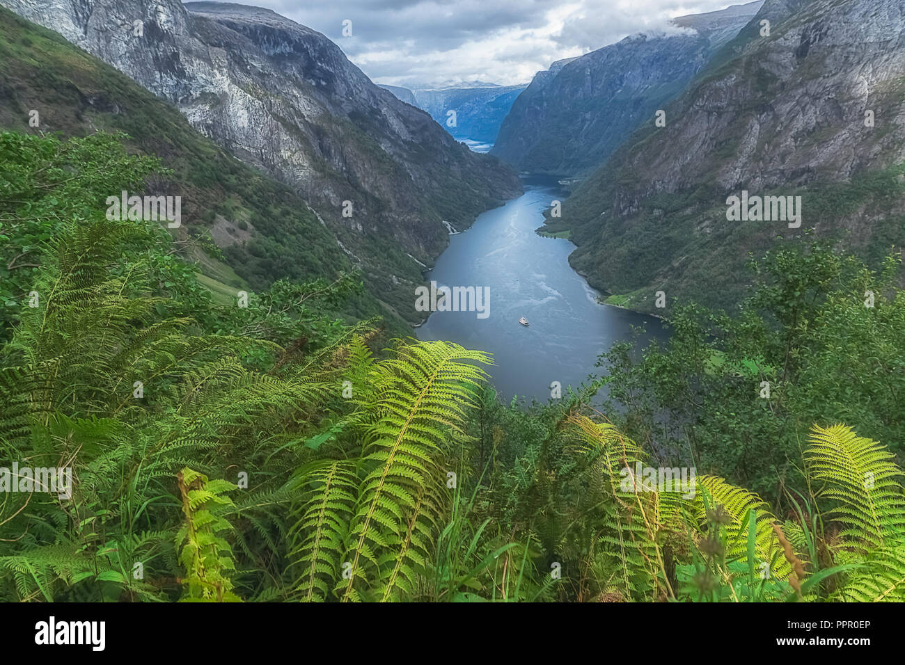 Landscape with beautiful Norway nature- fjord Sognefjord Stock Photo ...