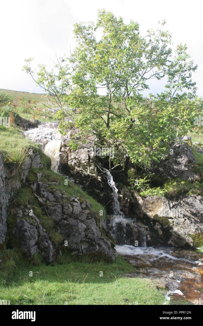 Yorkshire dales waterfall september hi-res stock photography and images ...