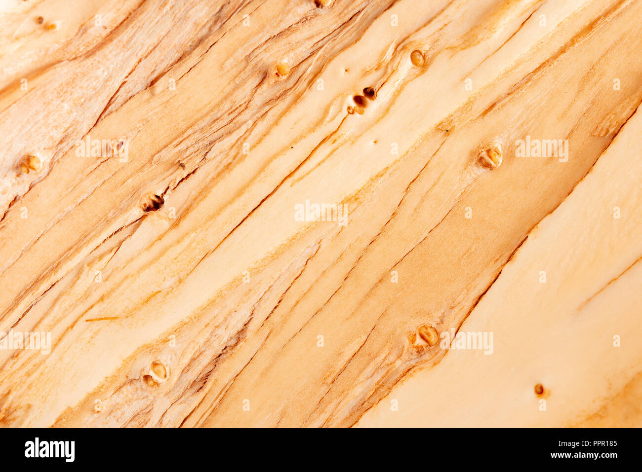 Roughness dry hi-res stock photography and images - Alamy