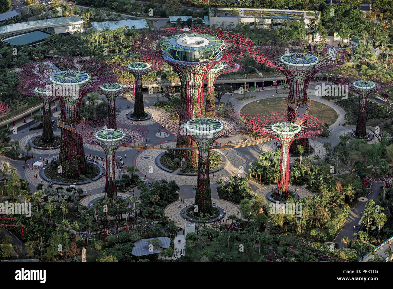 Supertree Grove Singapore