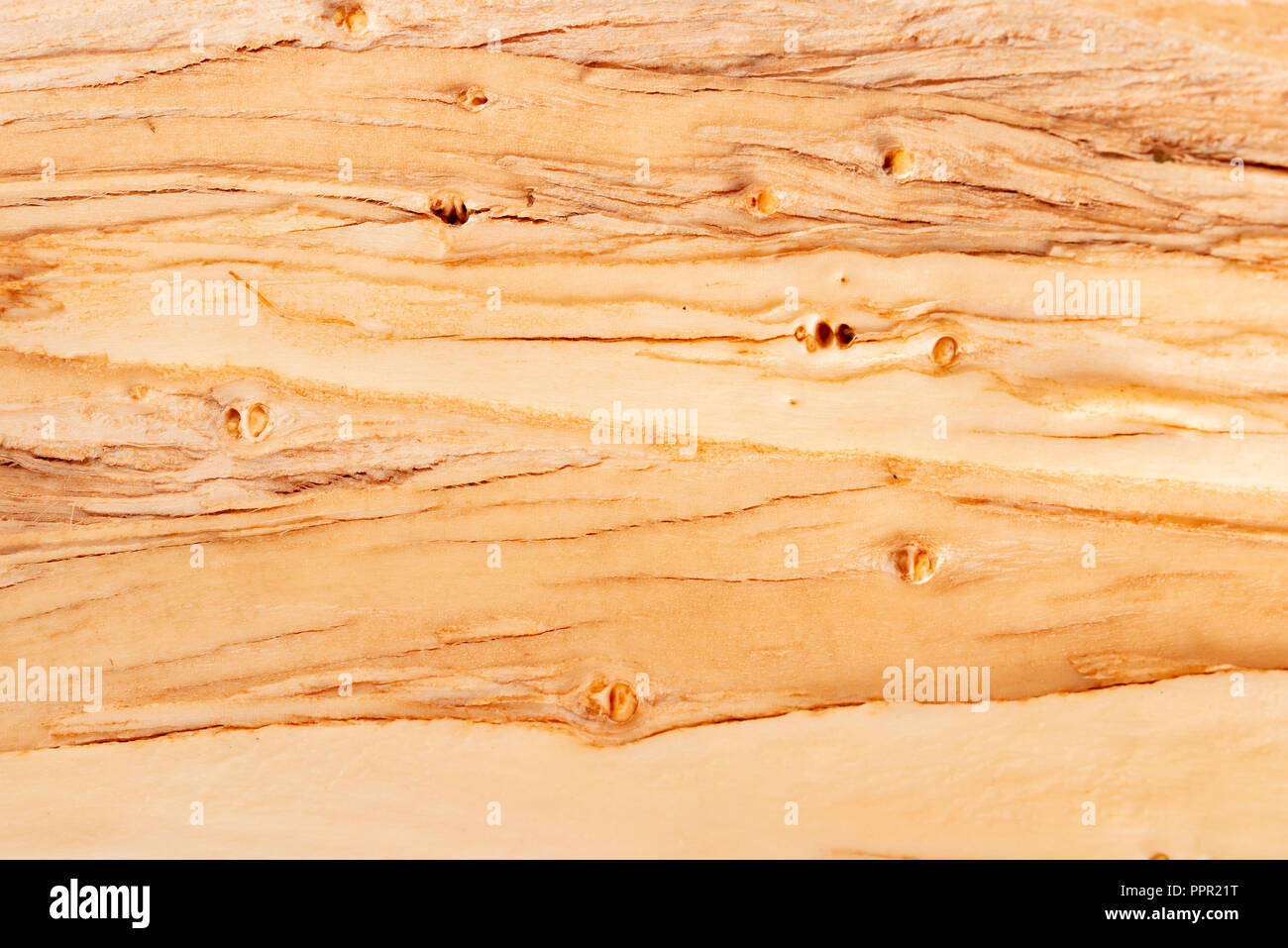 tree bark inside as background and texture Stock Photo - Alamy