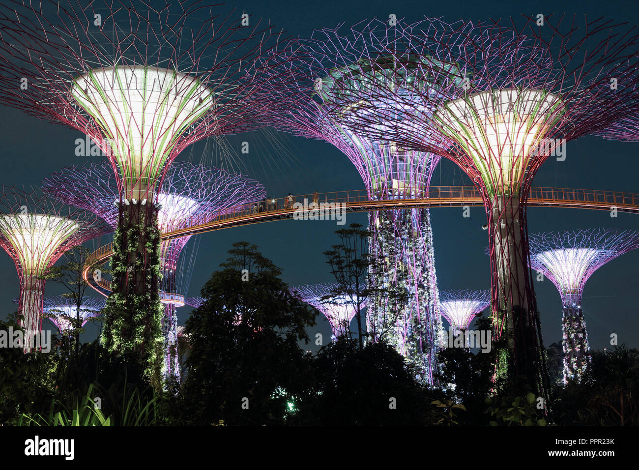 Supertree grove light show on dusk at Gardens by the bay in Singapore ...