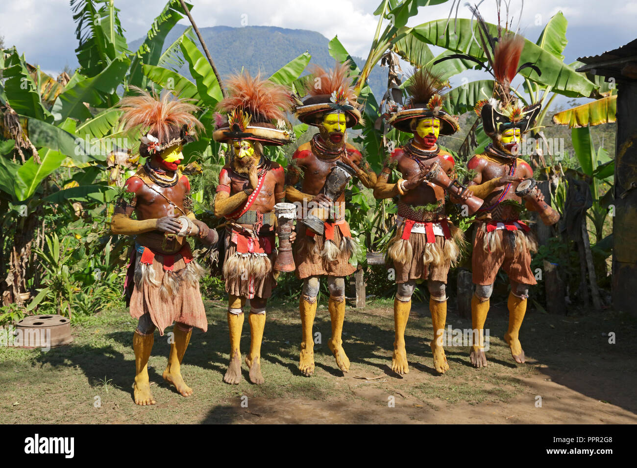 Huli Wigmen in traditional dress dancing in Papua new Guinea Stock ...