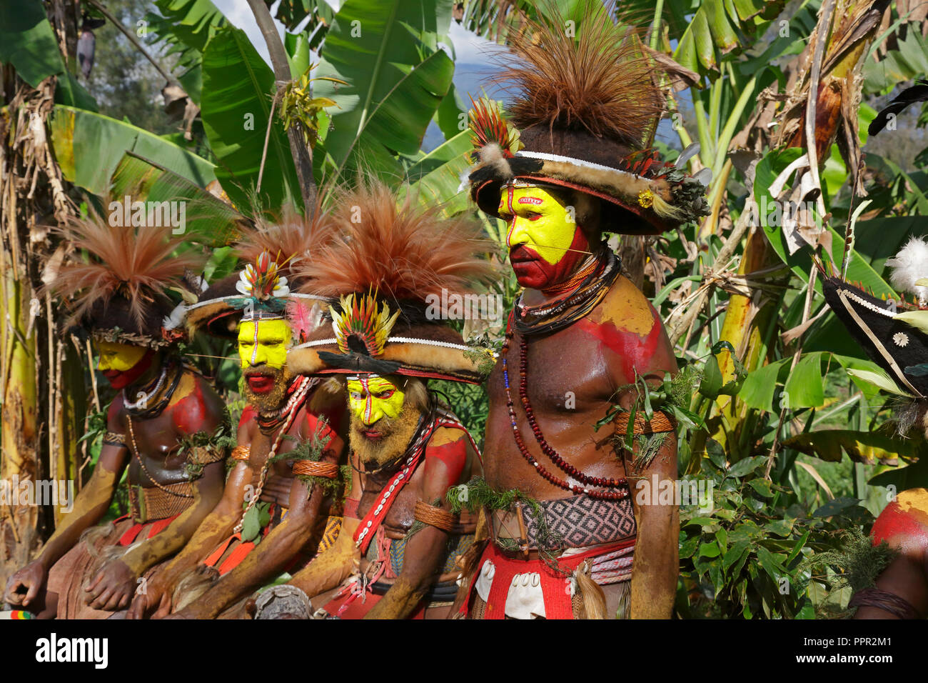 Papua new guinea face paint hi-res stock photography and images - Alamy