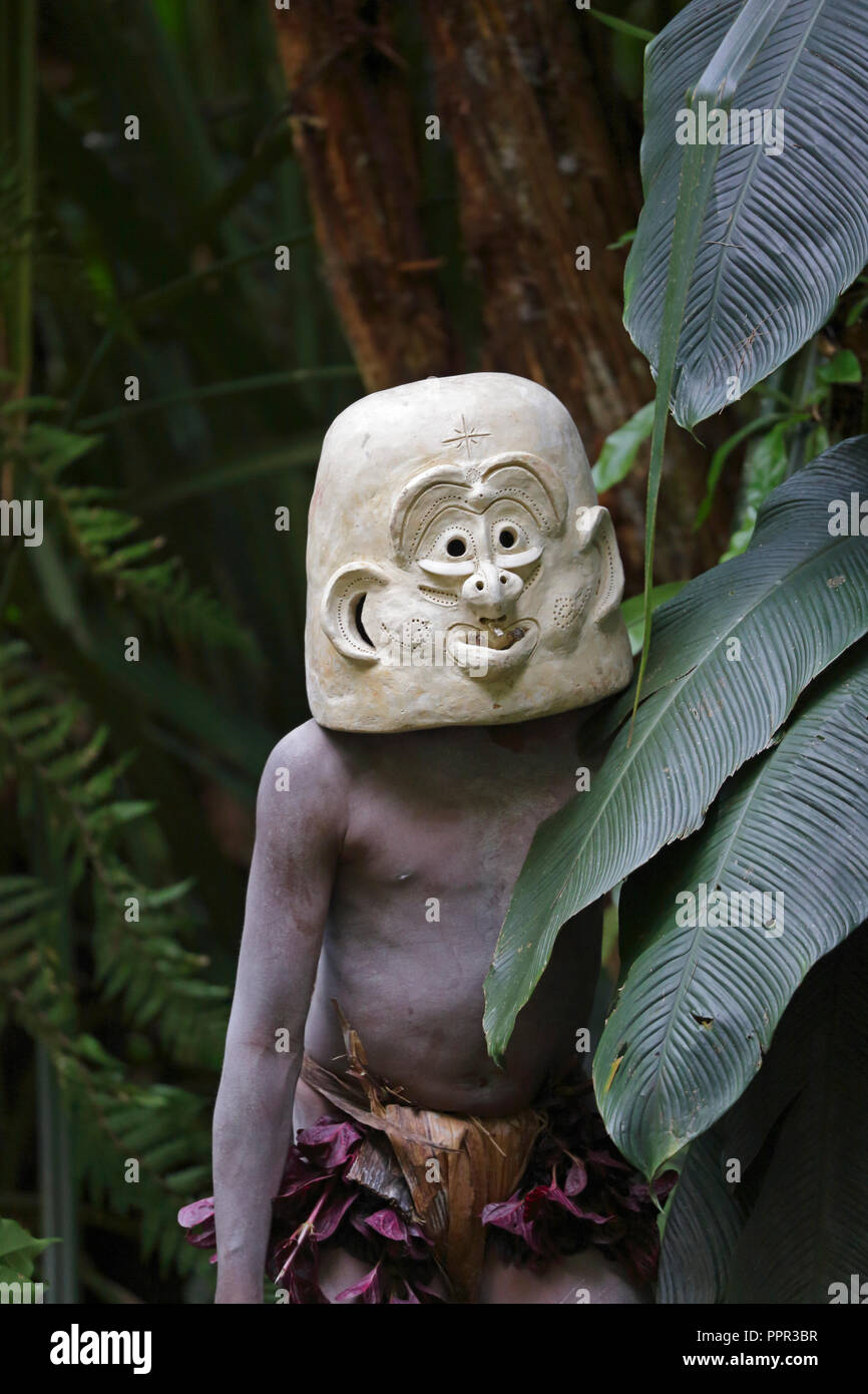 Mud Men performing a traditional dance in Papua New Guinea Stock Photo ...