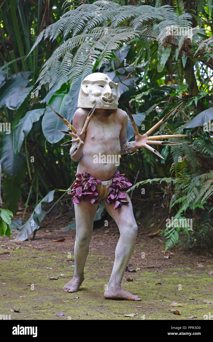 Papua new guinea mud men hi-res stock photography and images - Alamy