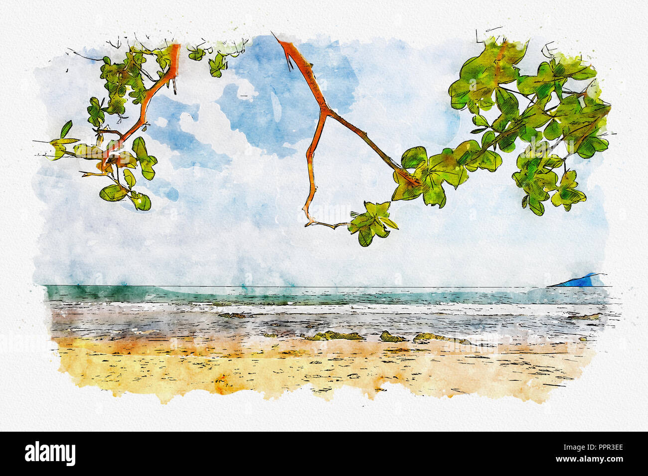 tree leaves over luxury beach in water colour Stock Photo - Alamy