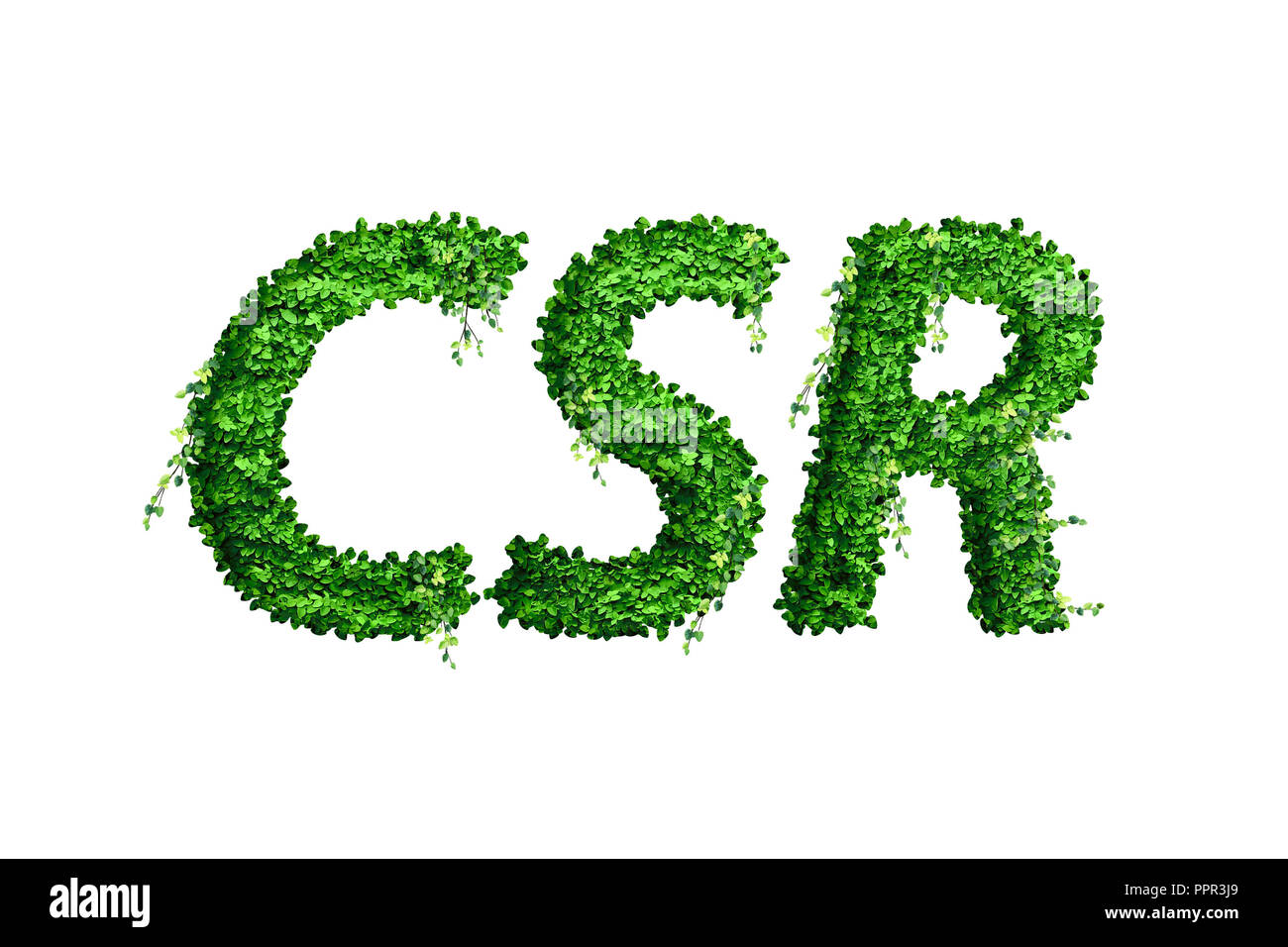 Letter of leaf alphabet. Leaf letter CSR isolated on white background ...