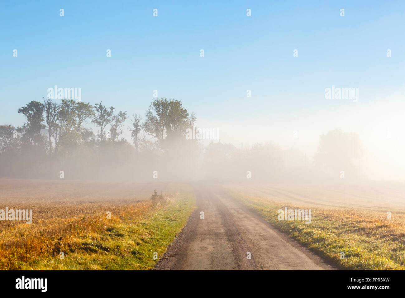 Sunrise over misty country road hi-res stock photography and images - Alamy