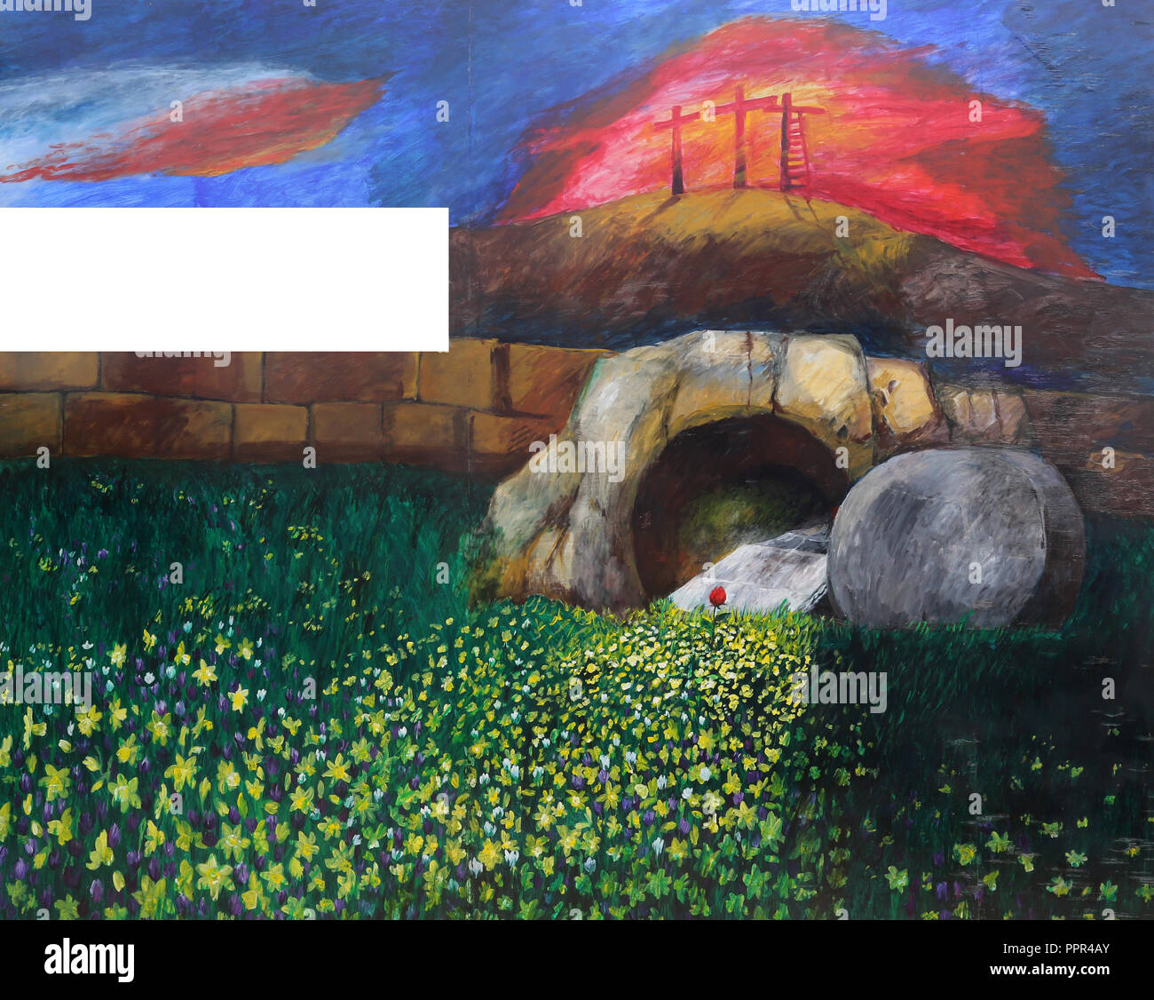 Sieger koder hi-res stock photography and images - Alamy