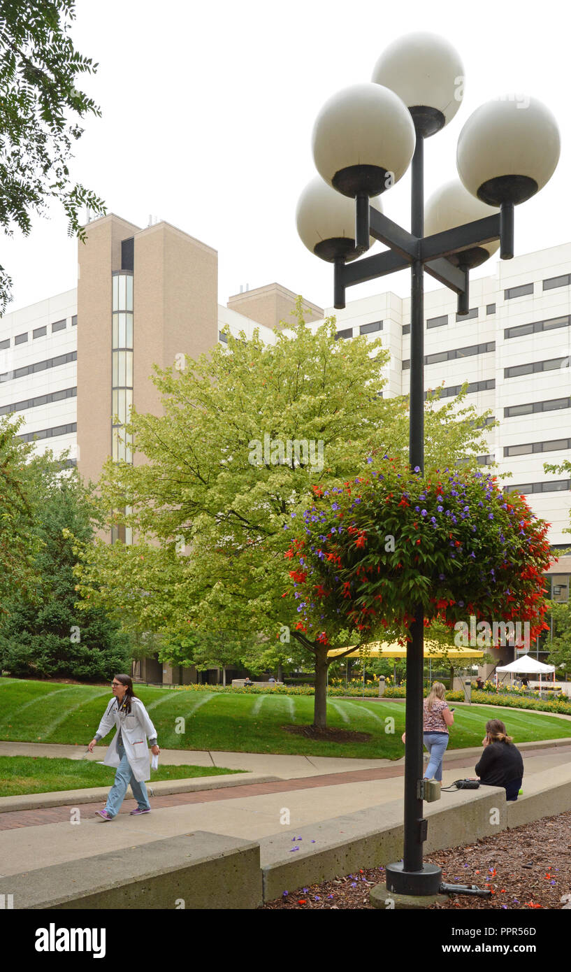 Northville University Of Michigan Health Center at Arthur Popp blog