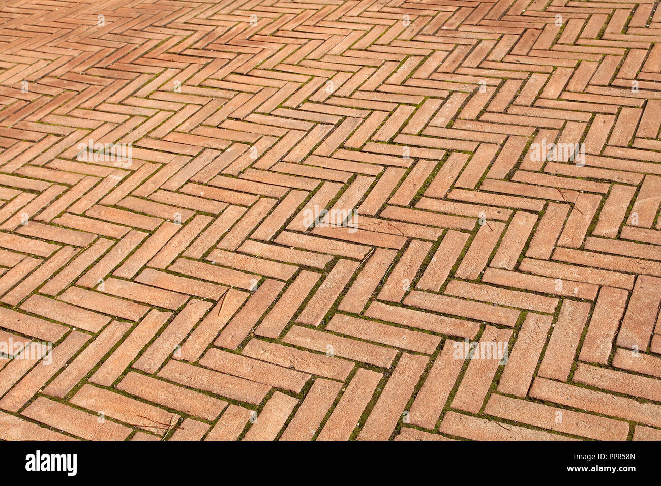 Traditional terracotta brick pavement in Rome Stock Photo - Alamy
