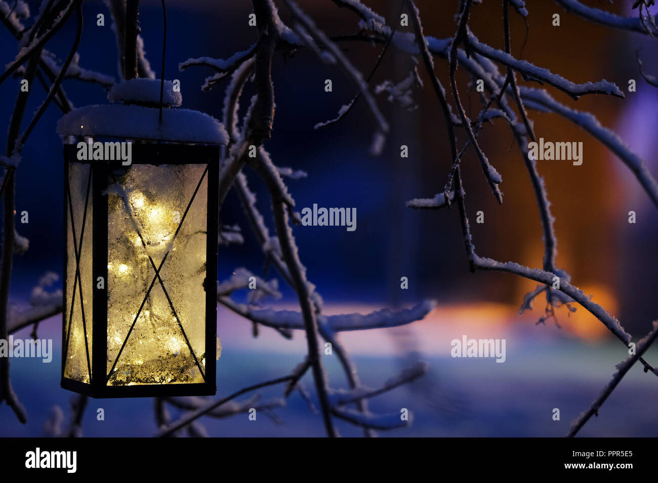 Lantern with Christmas lights hanging in tree branch Stock Photo - Alamy