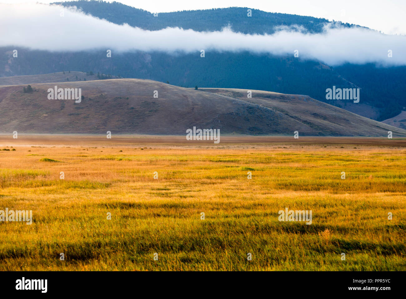 Landscape at Yellowstone & Jackson Hole Stock Photo - Alamy