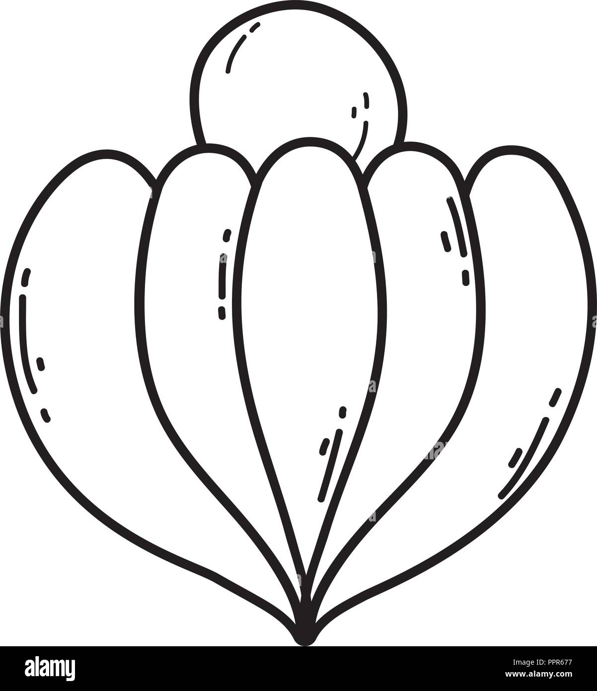 Shell cartoon isolated Stock Vector Image & Art - Alamy