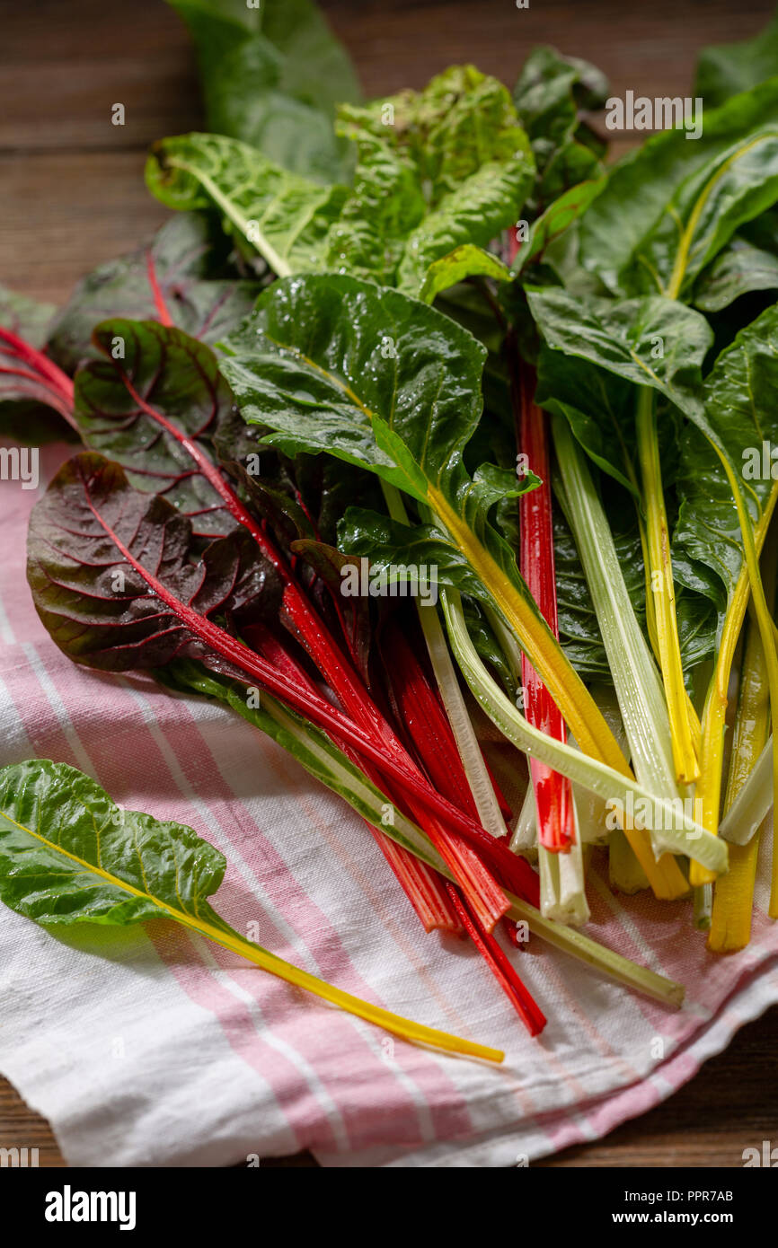 Harvest of swiss chard Stock Photo - Alamy