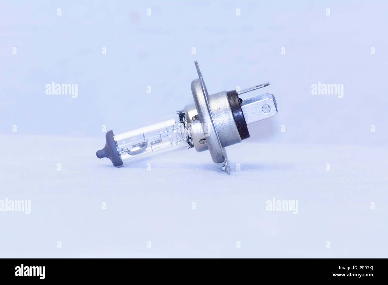 The 12V Halogen Lamp on a white background. It is light Bulb Stock ...