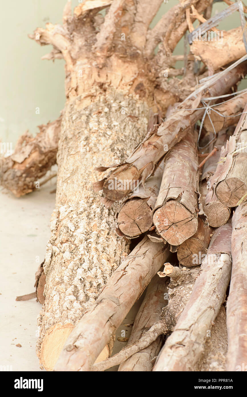 Chopped timber or logs on the floor Stock Photo - Alamy