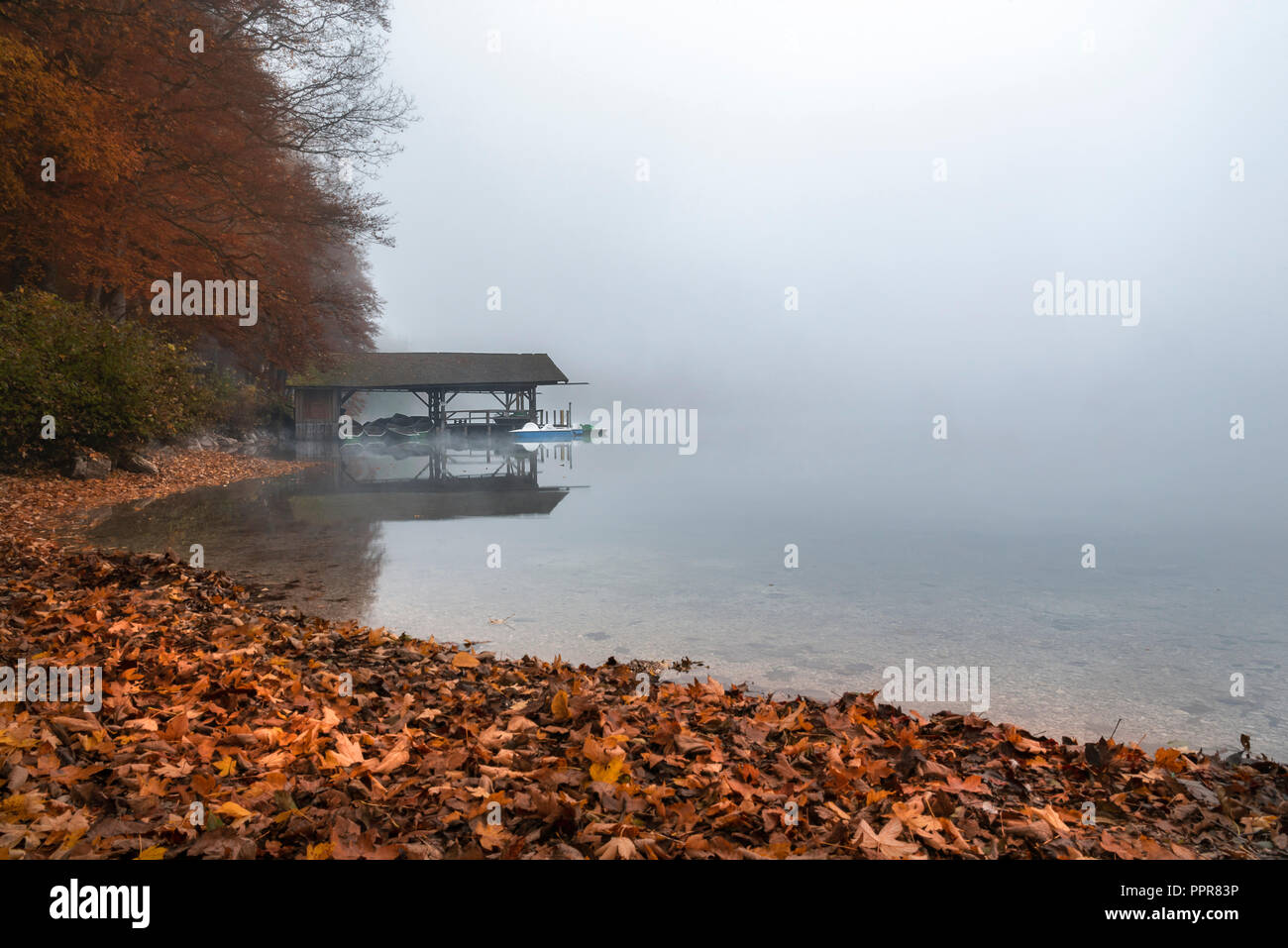 Dock with wooden rooftop and boats anchored, on the Alpsee lake ...