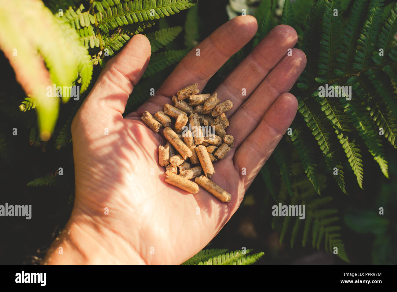 natural wood pellet Stock Photo - Alamy