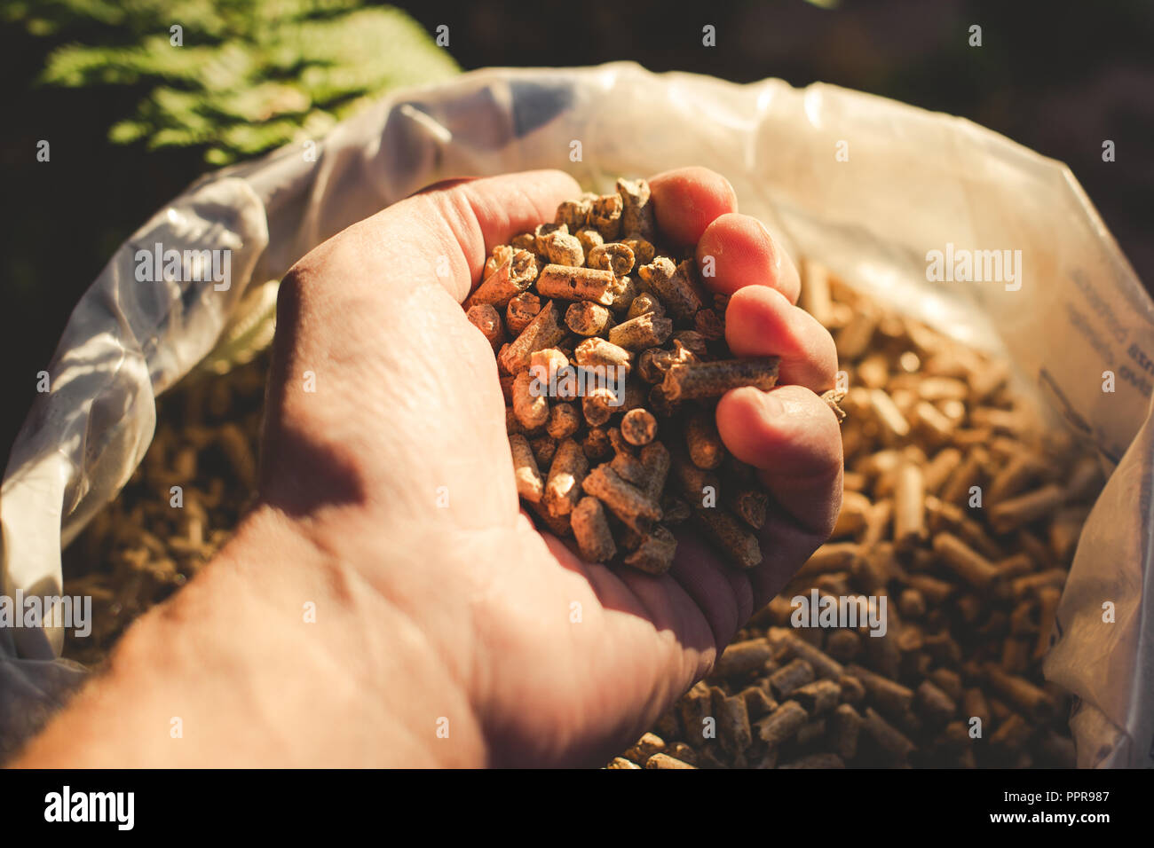 natural wood pellet Stock Photo - Alamy