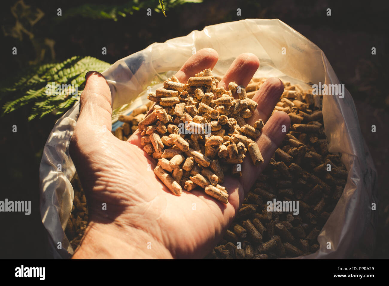 natural wood pellet Stock Photo - Alamy