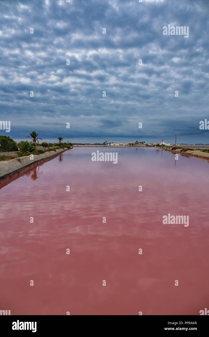Saltern pool hi-res stock photography and images - Alamy