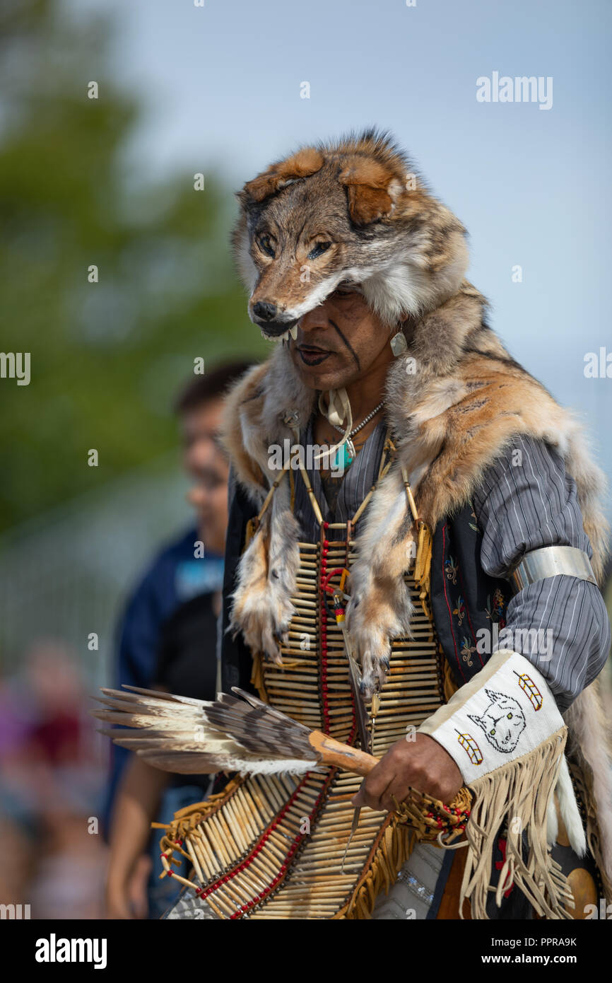 Native American Wolf Headdress