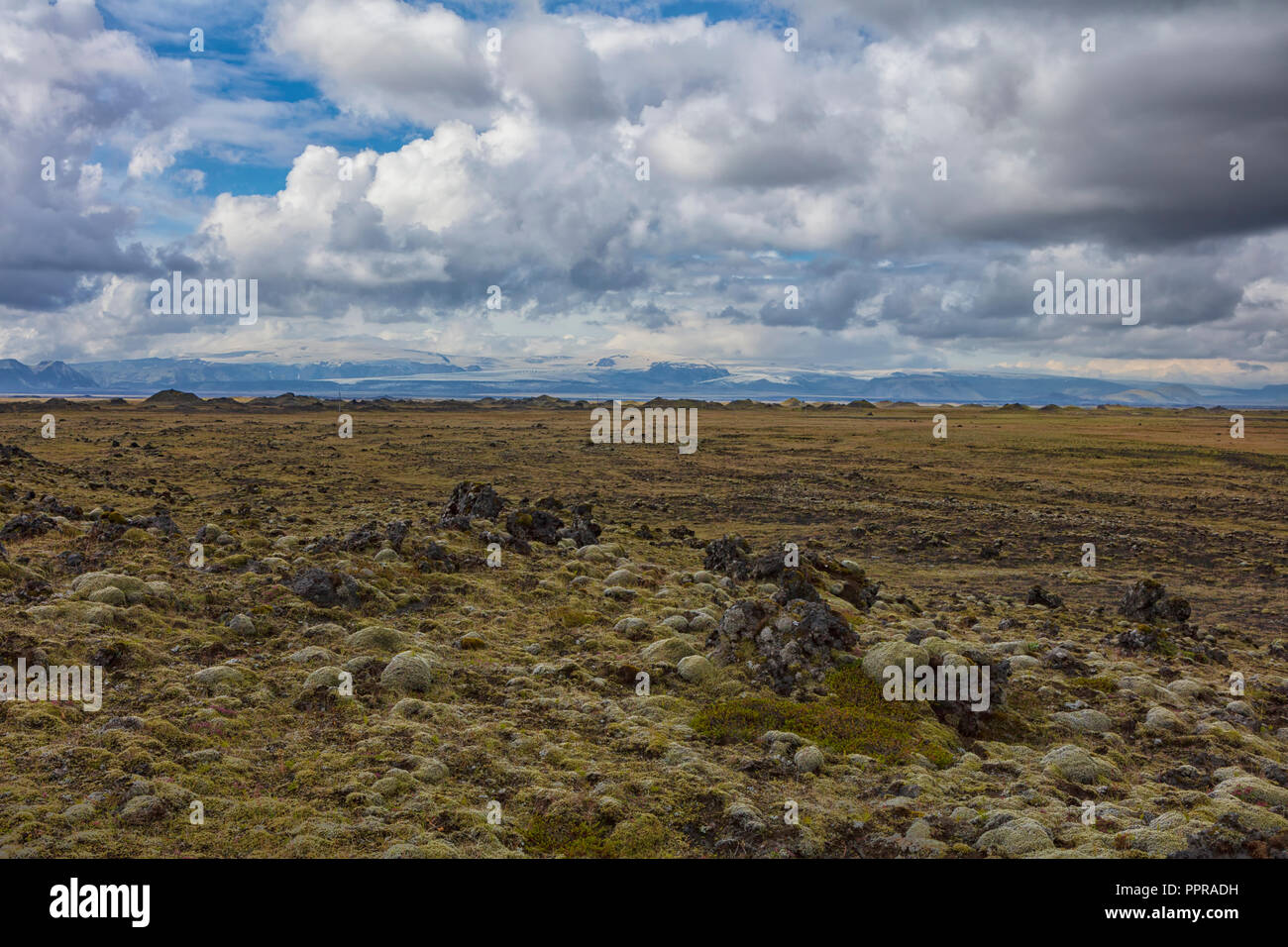 A cloudy sky and the ancient lava field, covered with moss near Vik ...