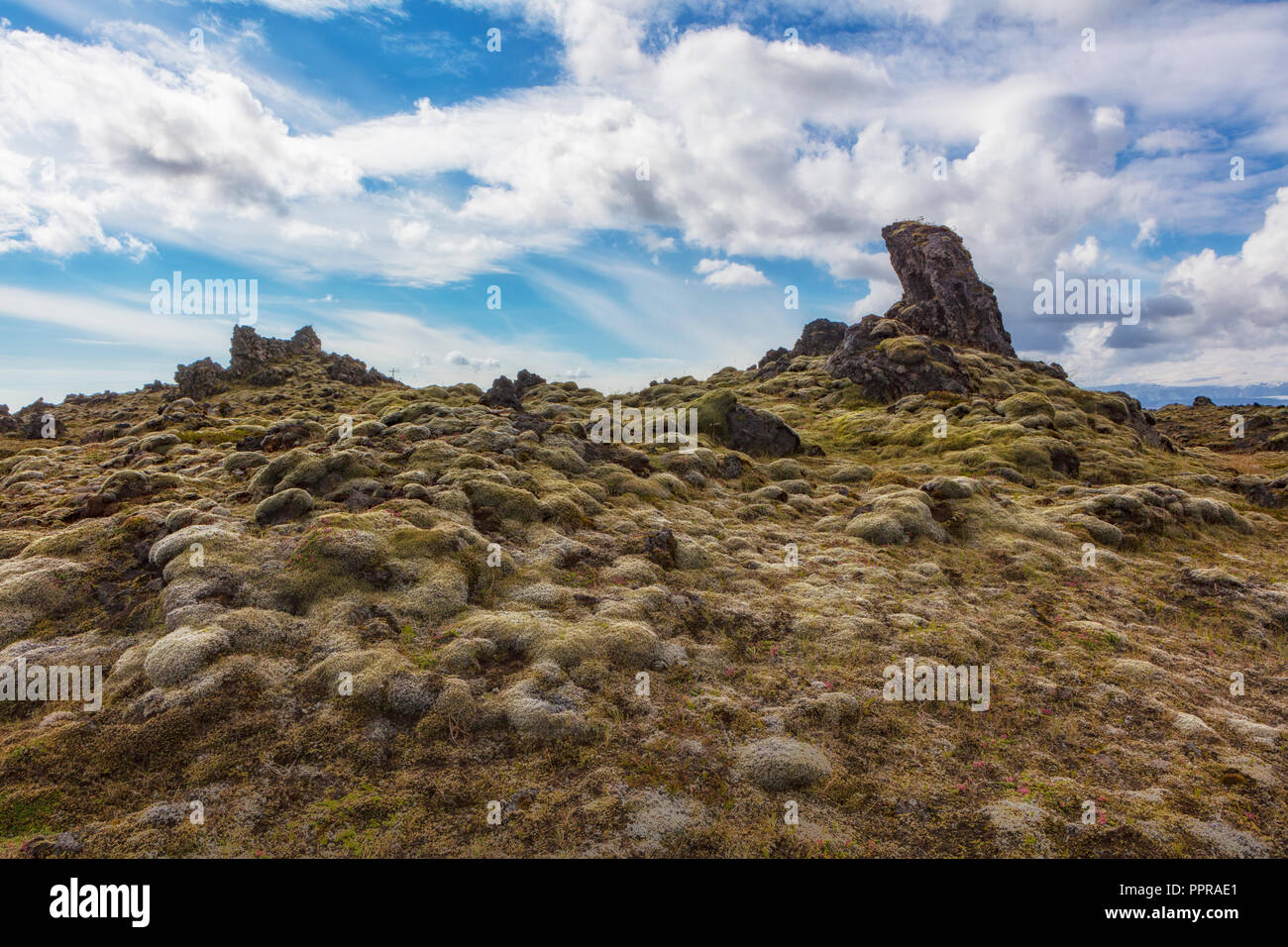 A cloudy sky and the ancient lava field, covered with moss near Vik ...