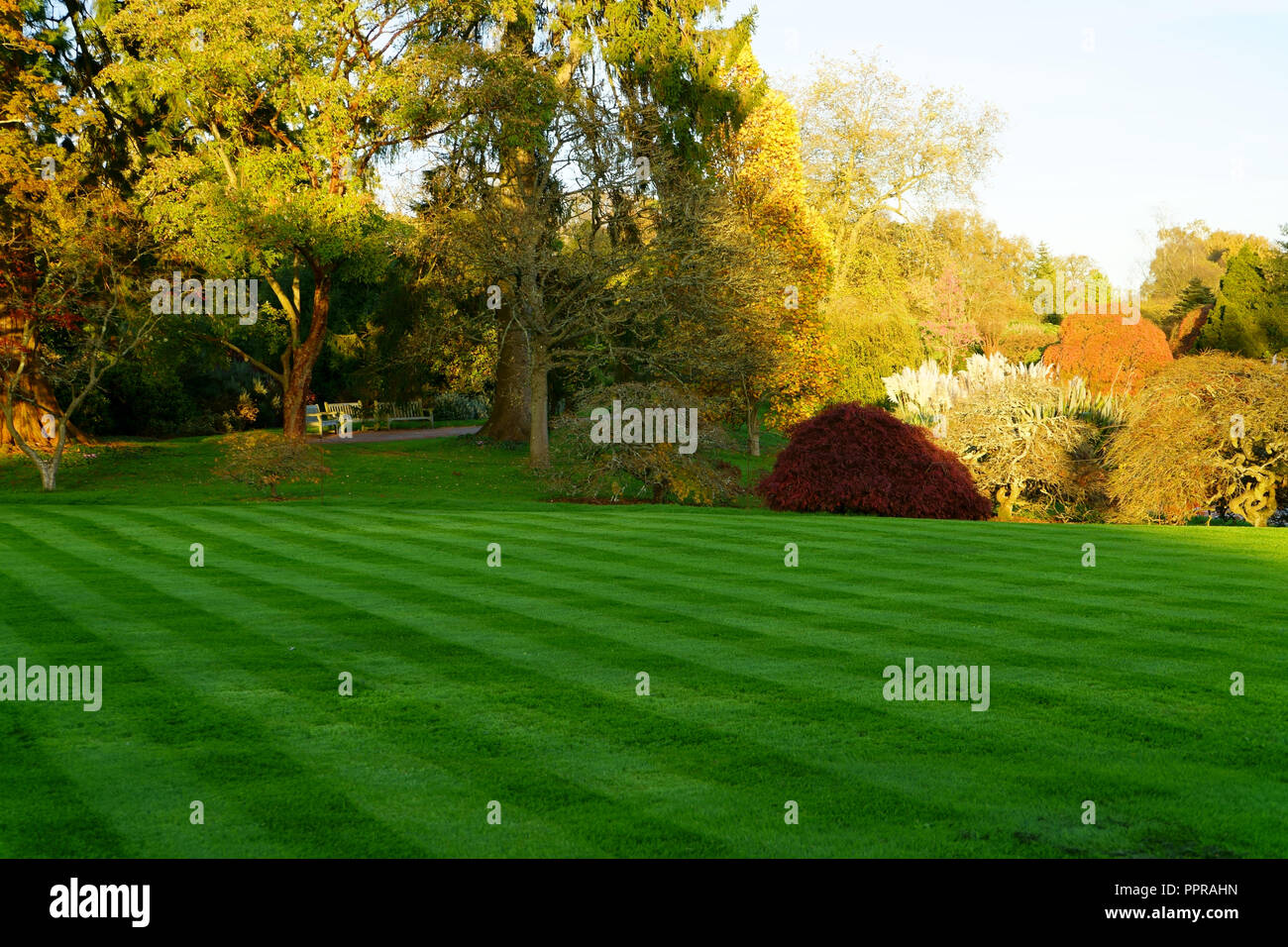 Striped lawn hi-res stock photography and images - Alamy