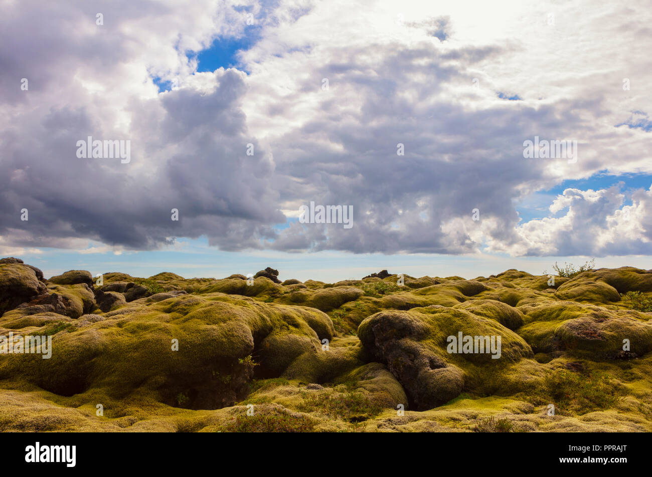 A cloudy sky and the ancient lava field, covered with moss near Vik ...