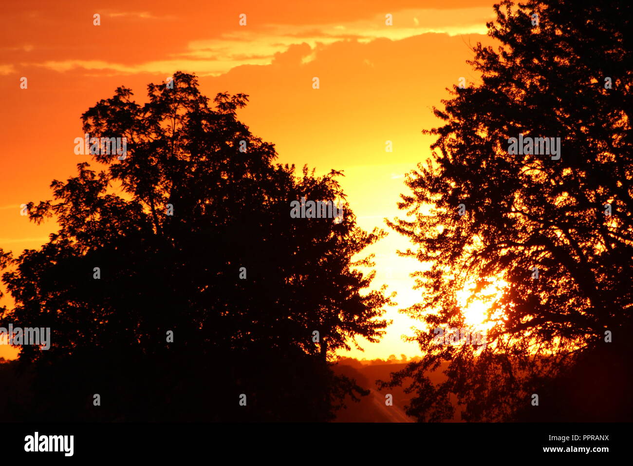 Sunrise behind trees with orange sky Stock Photo - Alamy