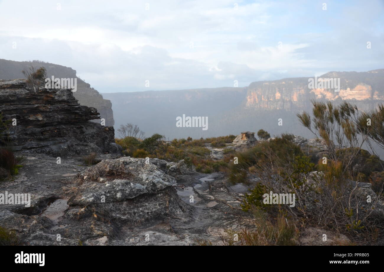 Walking track at Mount Banks in the Blue Mountains of Australia Stock ...