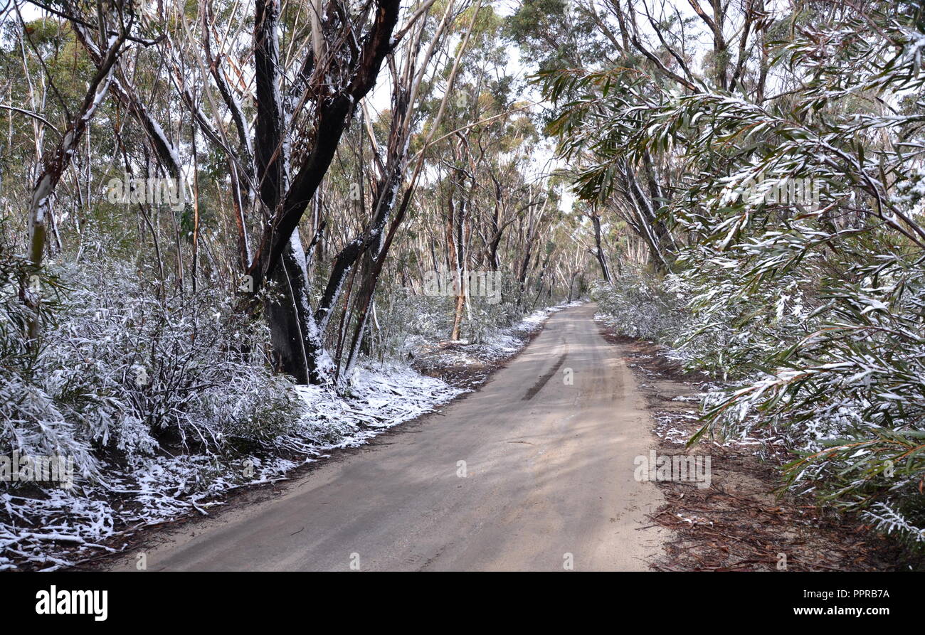 Snow collected on the side of the track leading up to Lithgow Hassans ...