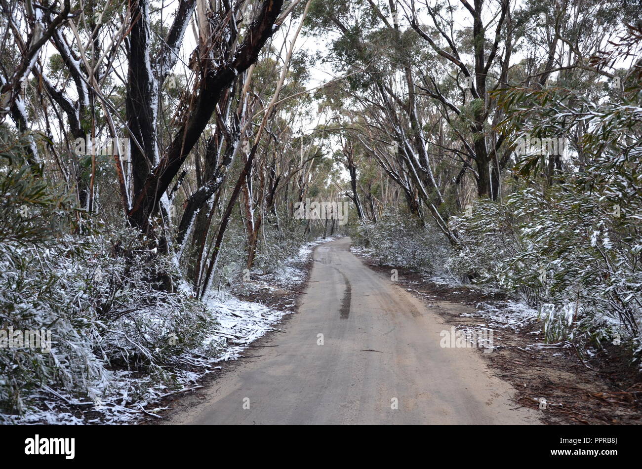 Snow collected on the side of the track leading up to Lithgow Hassans ...