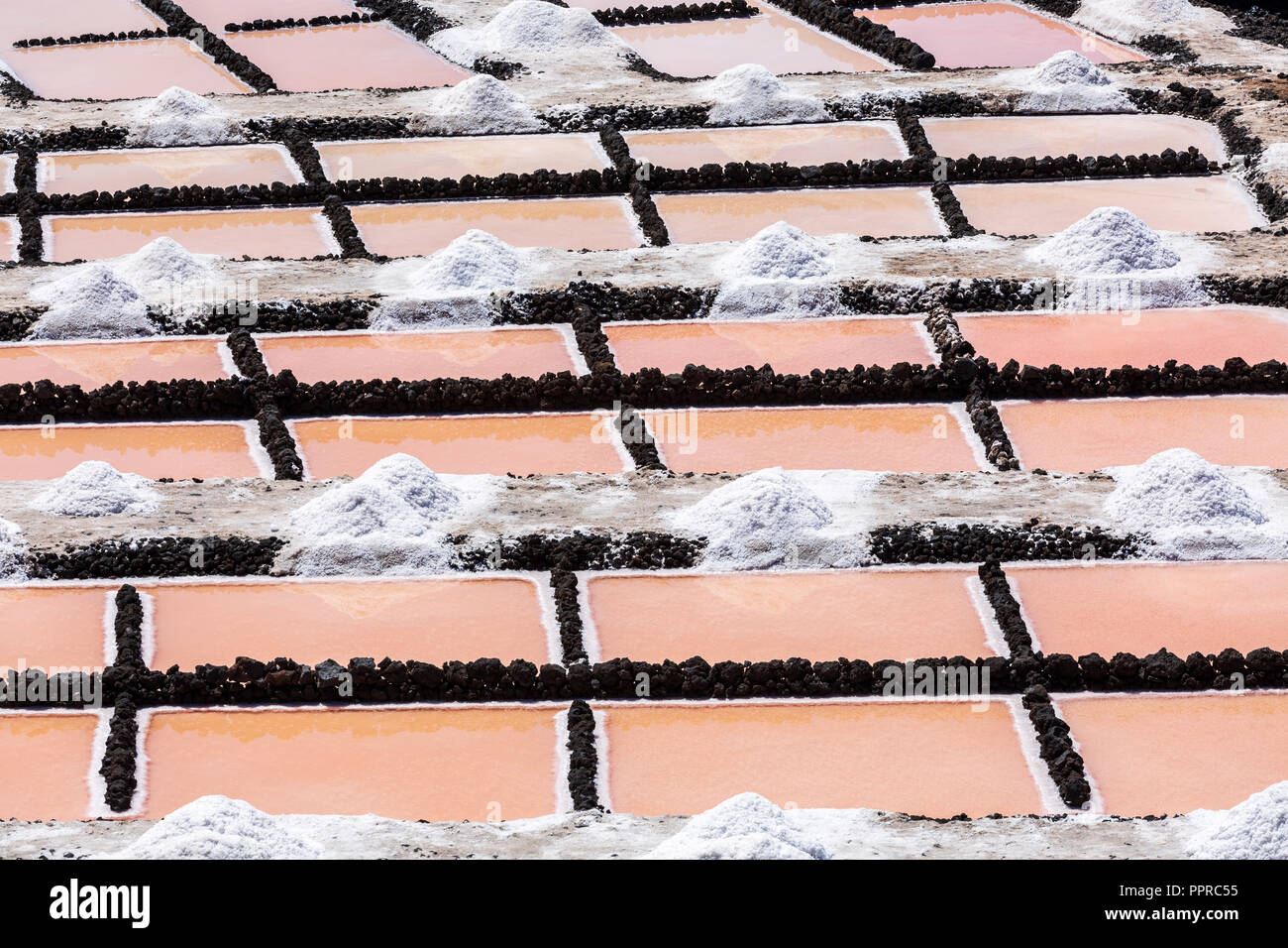 Sea salt production and drying pools at the Salinas de Fuencaliente ...