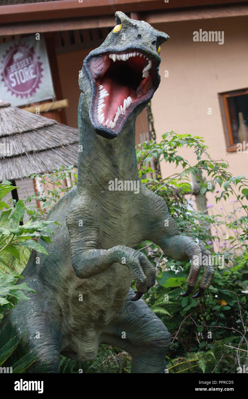 Chester Zoo animals Stock Photo - Alamy