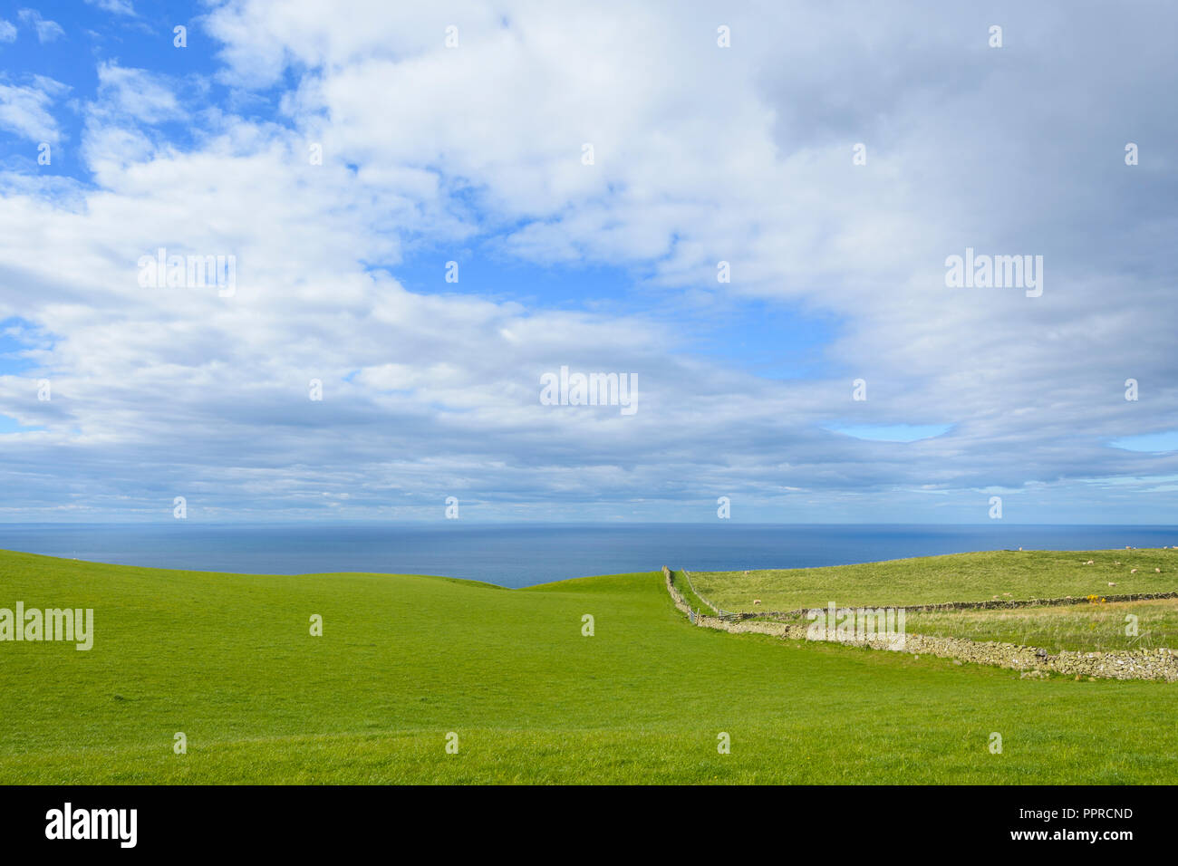 Coastal landscape with the North Sea, Scotland, United Kingdom Stock ...