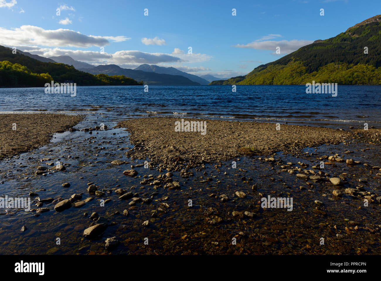 Lake shore in the spring, Loch Lomond, Scotland, United Kingdom Stock ...