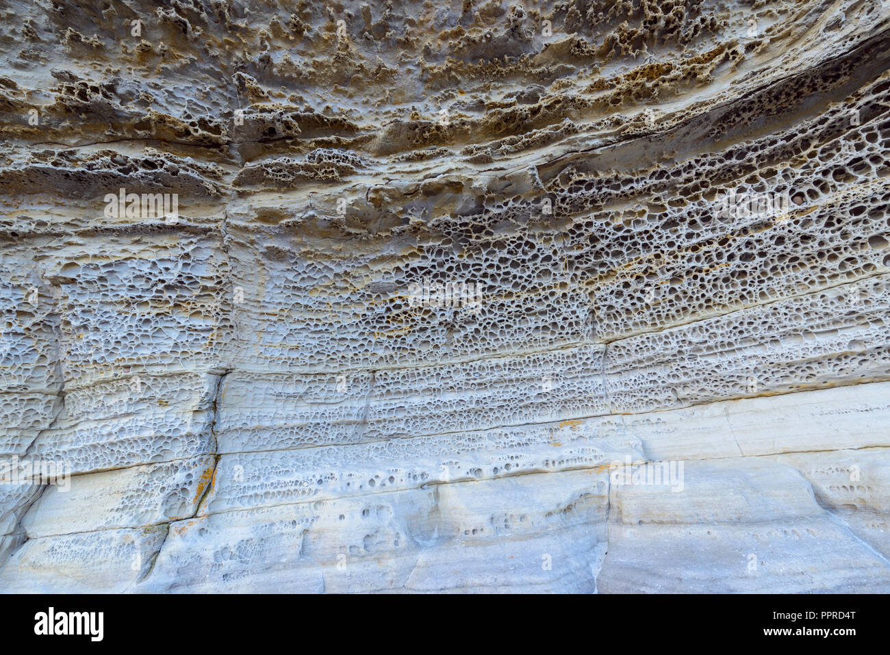 Honeycomb weathering hi-res stock photography and images - Alamy