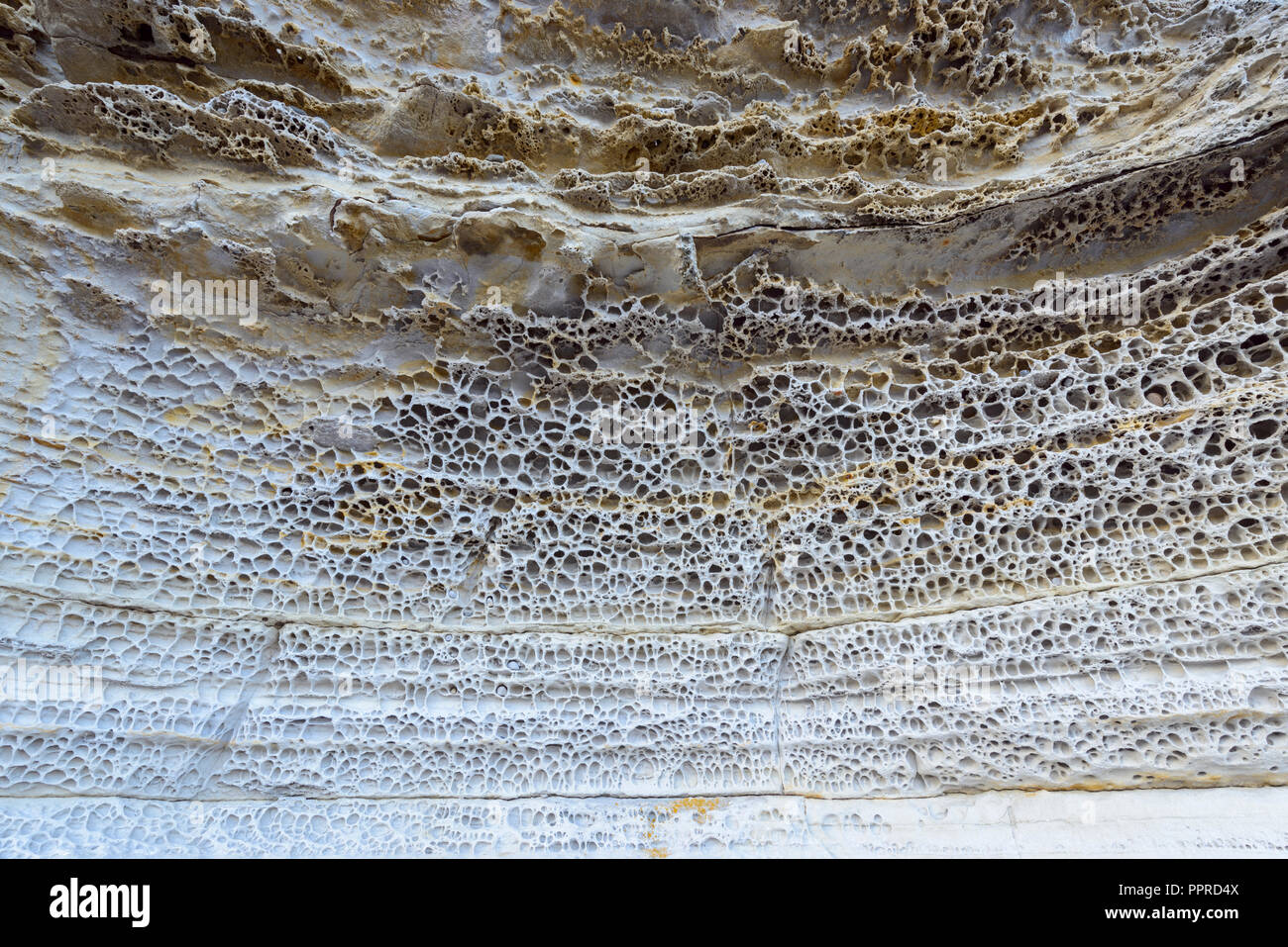Honeycomb weathering hi-res stock photography and images - Alamy