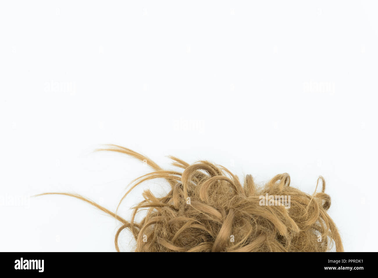 Hair Tuft Stock Photos & Hair Tuft Stock Images - Alamy