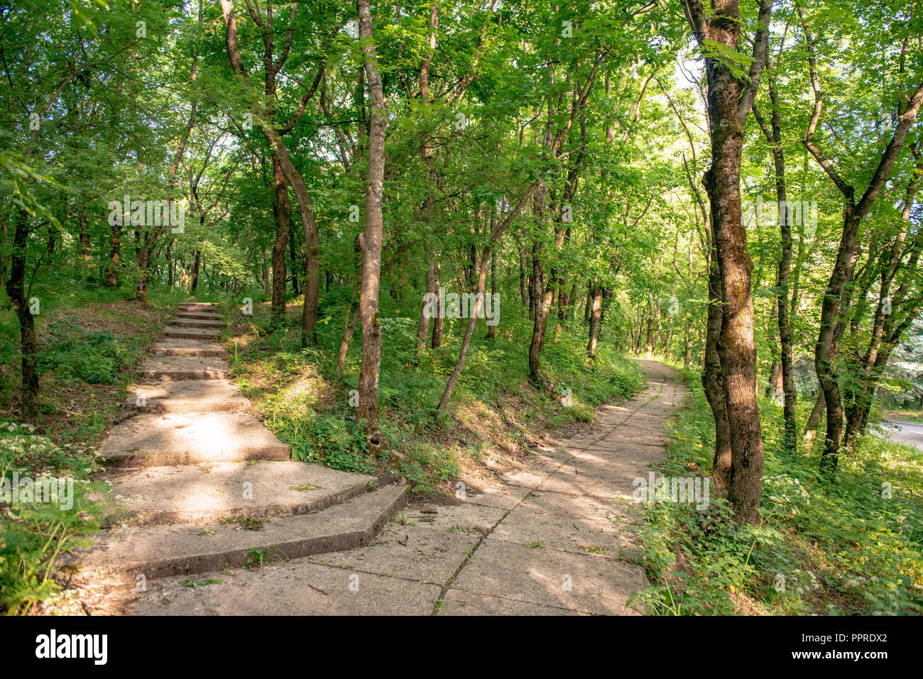 Personal perspective of walking on a path in the forest Stock Photo - Alamy