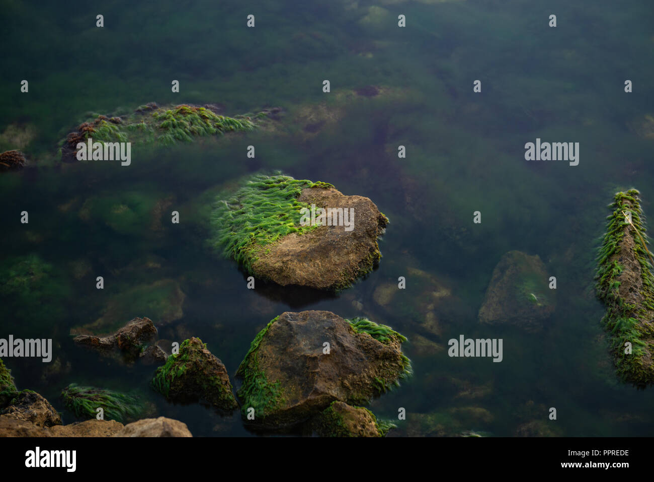 Stone by the sea hi-res stock photography and images - Alamy