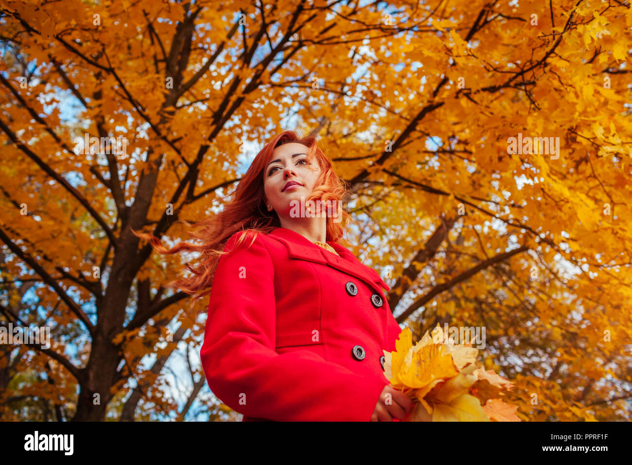 Young woman in red coat walks in autumn forest among yellow trees Stock ...